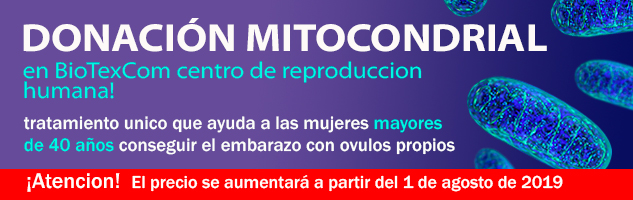 Servicios de maternidad subrogada en la clínica BioTexCom